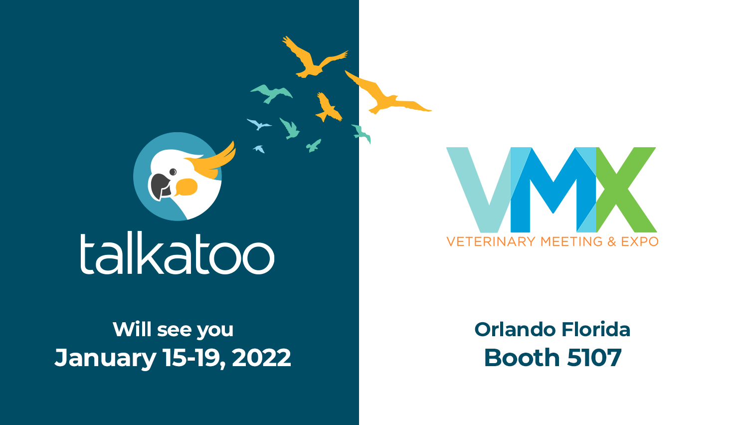 Talkatoo’s Heading out to VMX in Orlando
