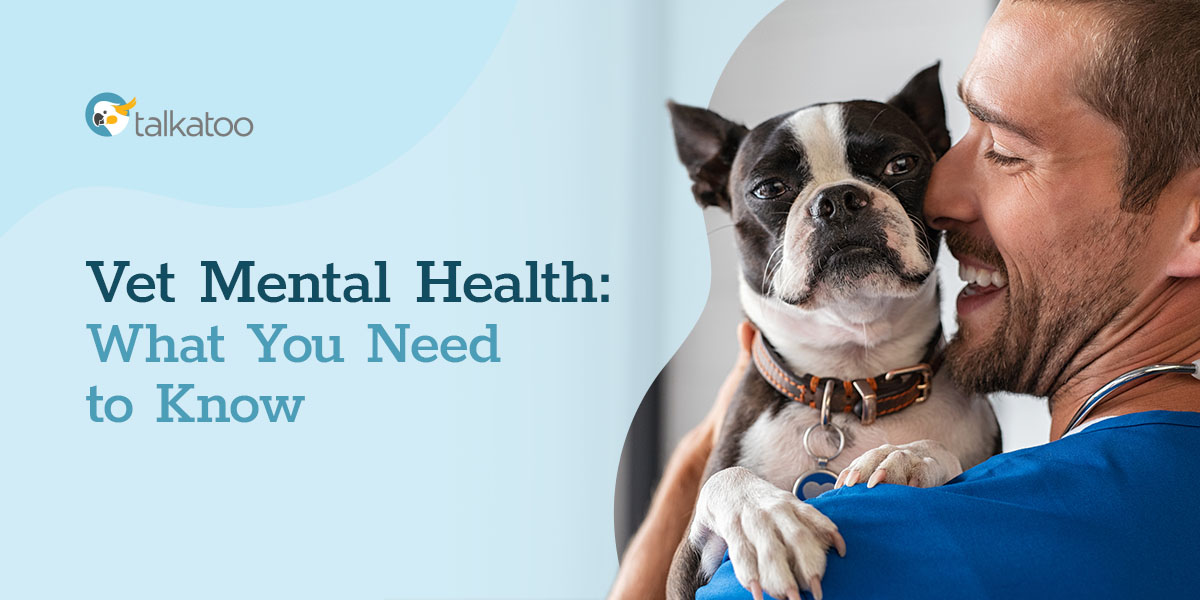 Veterinary Mental Health: What You Need To Know | Talkatoo