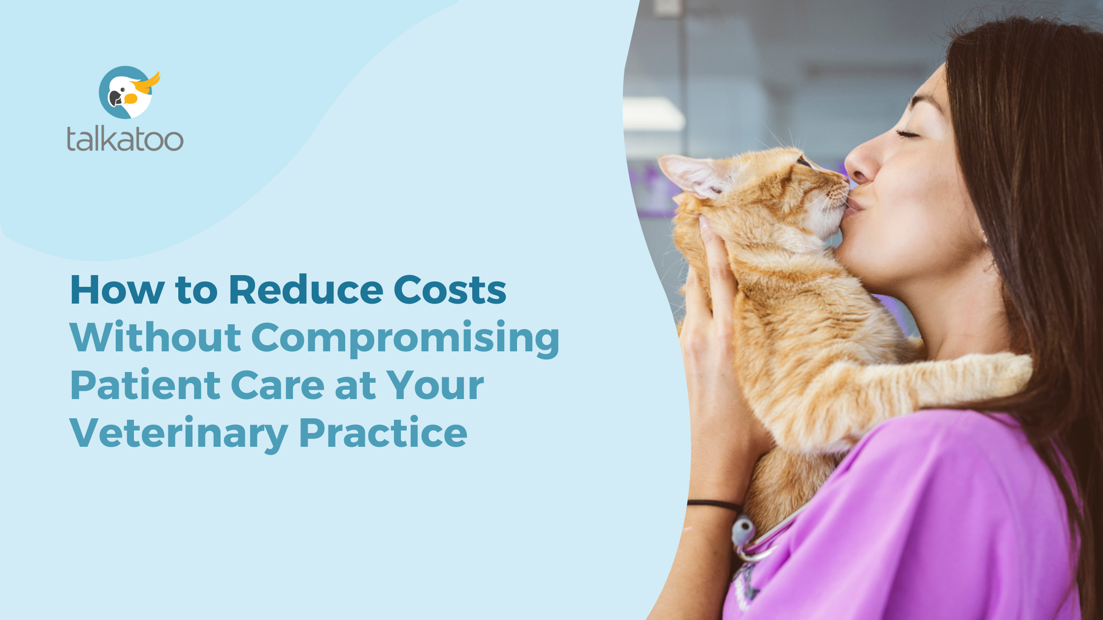 How to reduce costs in your veterinary clinic - Talkatoo